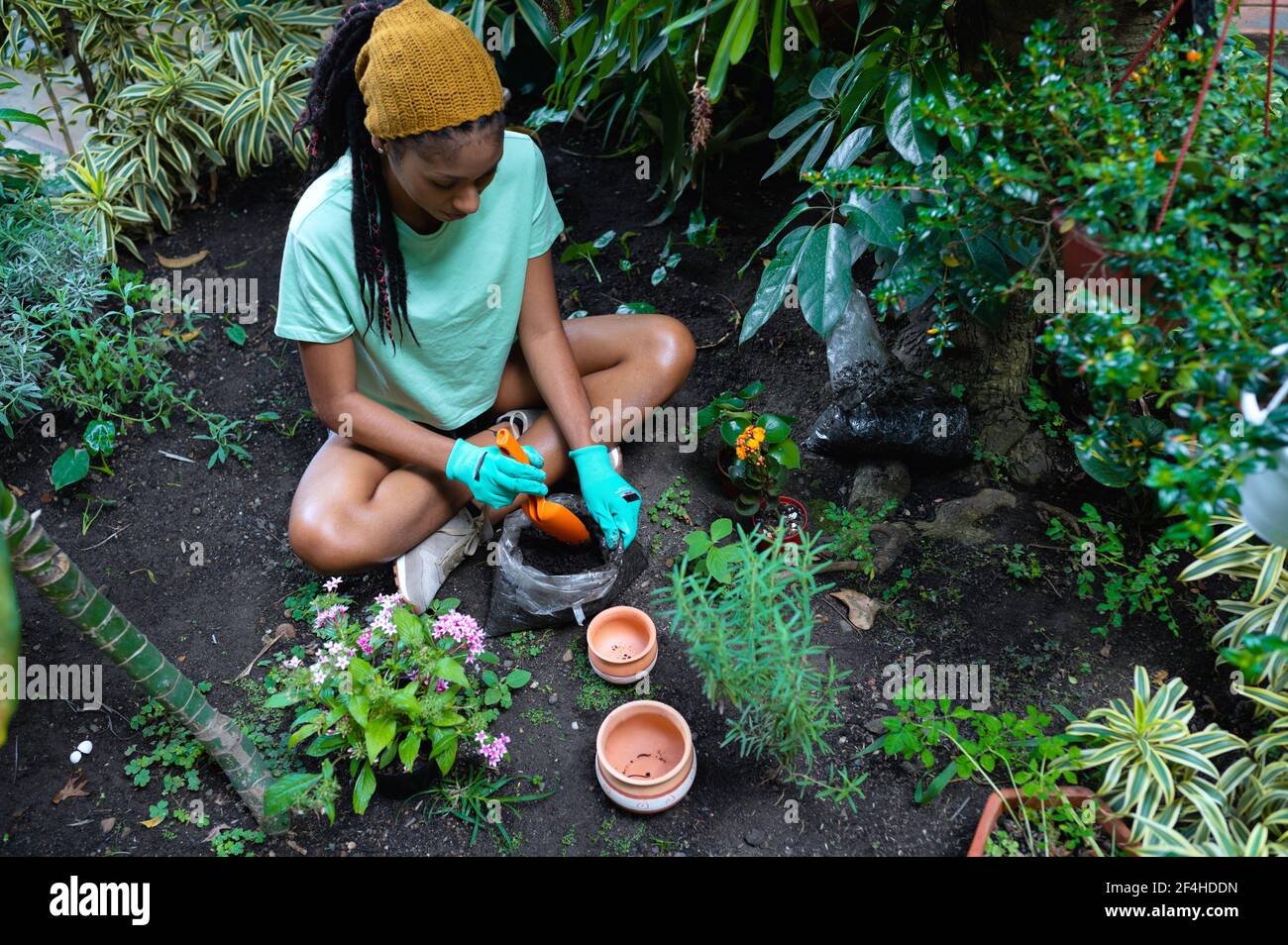 Serious African American female photographer with braids looking ...