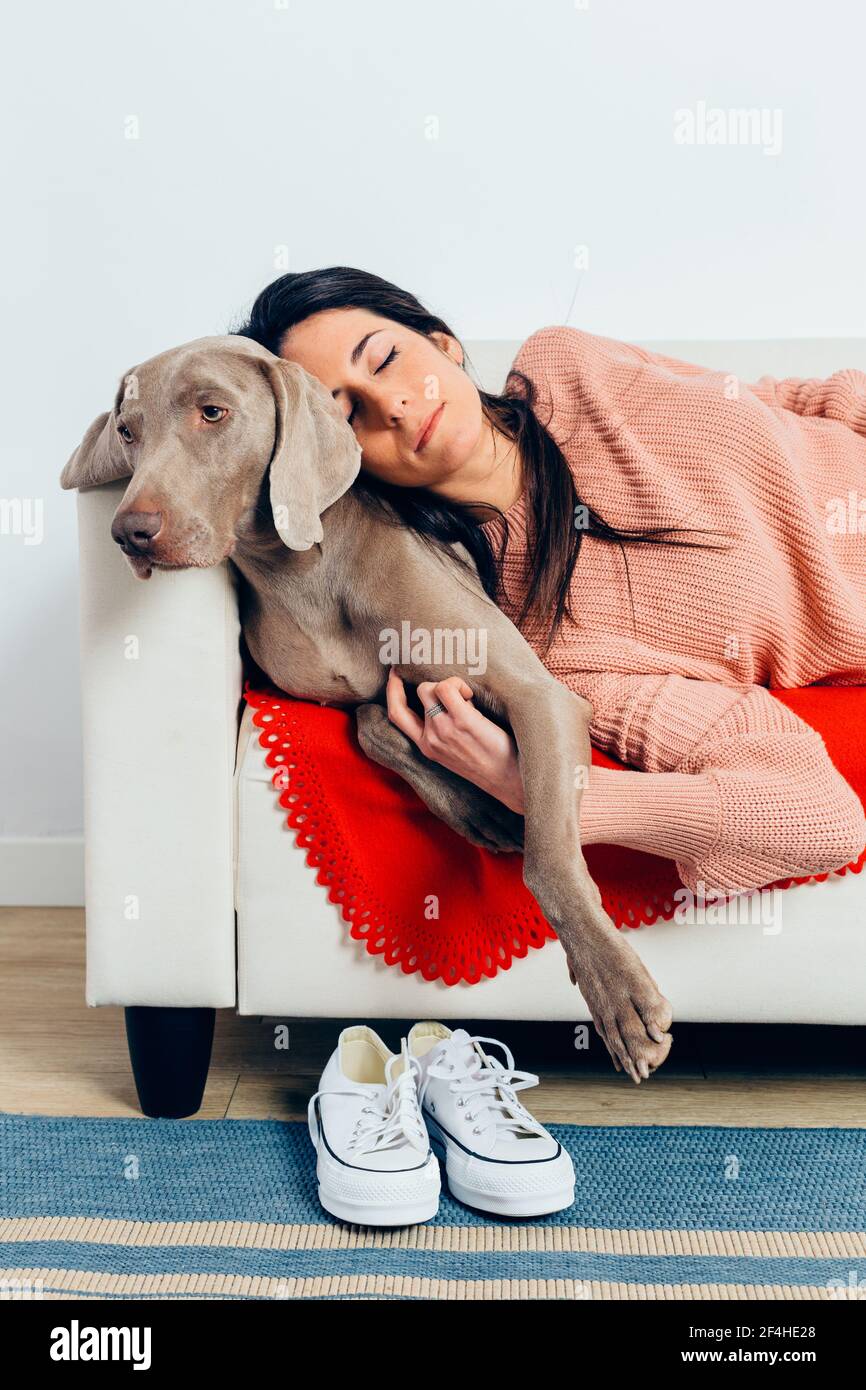 Woman pet sleep sofa hi-res stock photography and images - Alamy