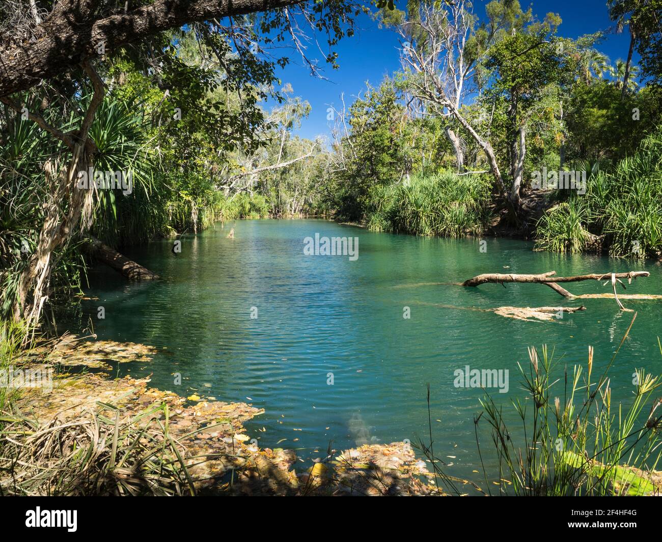 Lawn Hill Creek, Lower Gorge, Boodjamulla National Park, Queensland ...