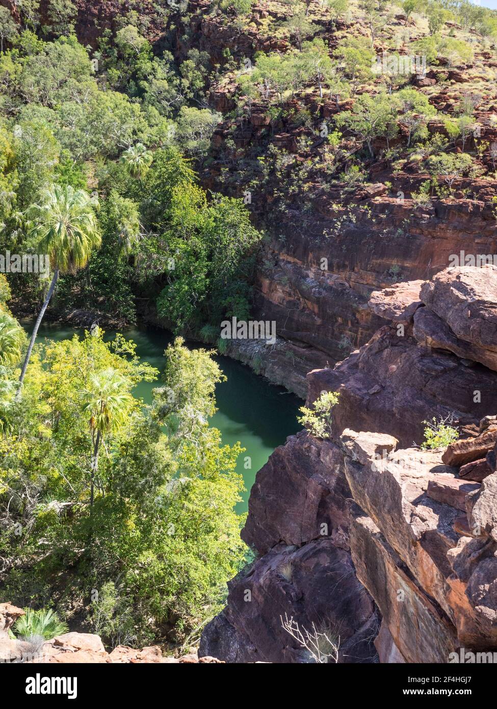 Canopy stack hi-res stock photography and images - Alamy