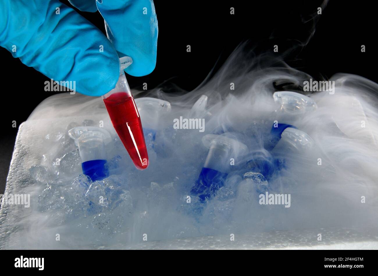 Polymerase chain reaction samples on dry ice used in biochemistry ...