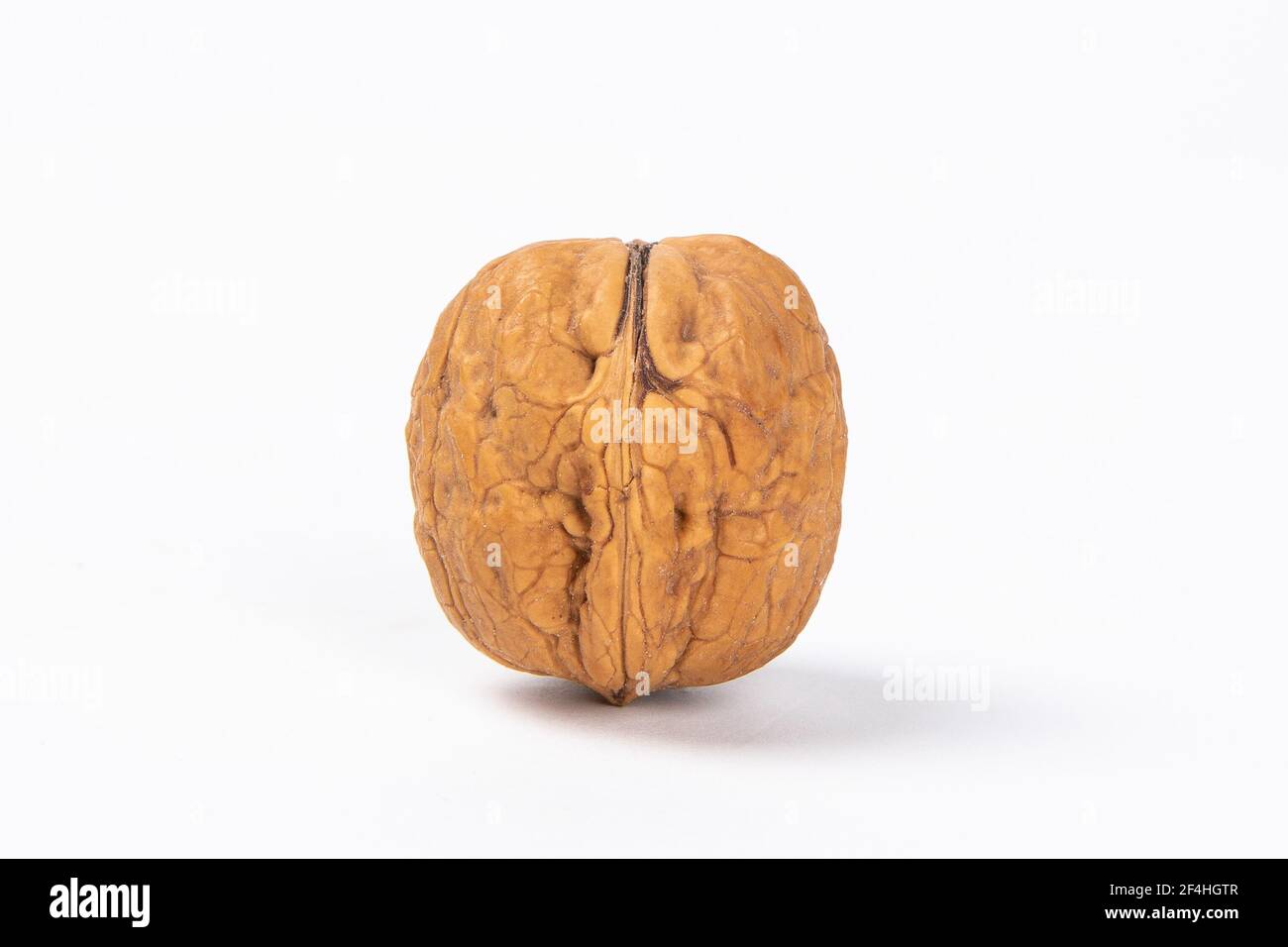 A closeup shot of a single walnut isolated on white background Stock ...