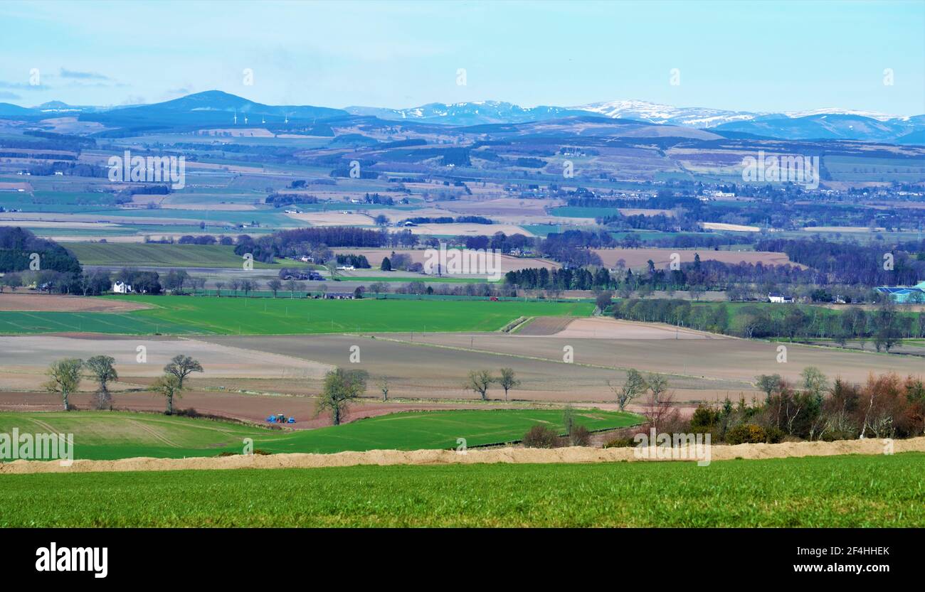 Coupar angus spring hi-res stock photography and images - Alamy