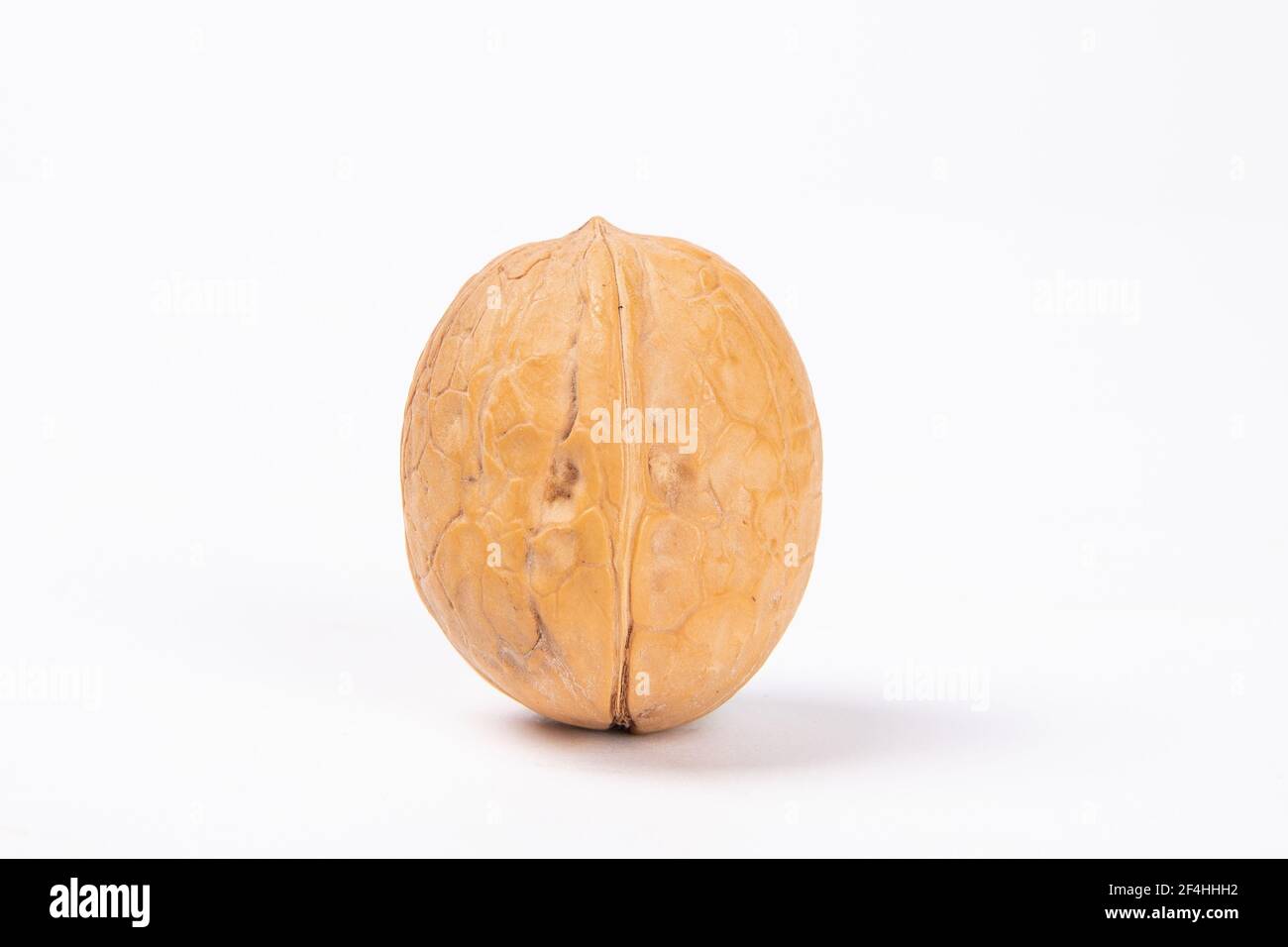 A closeup shot of a single walnut isolated on white background Stock ...