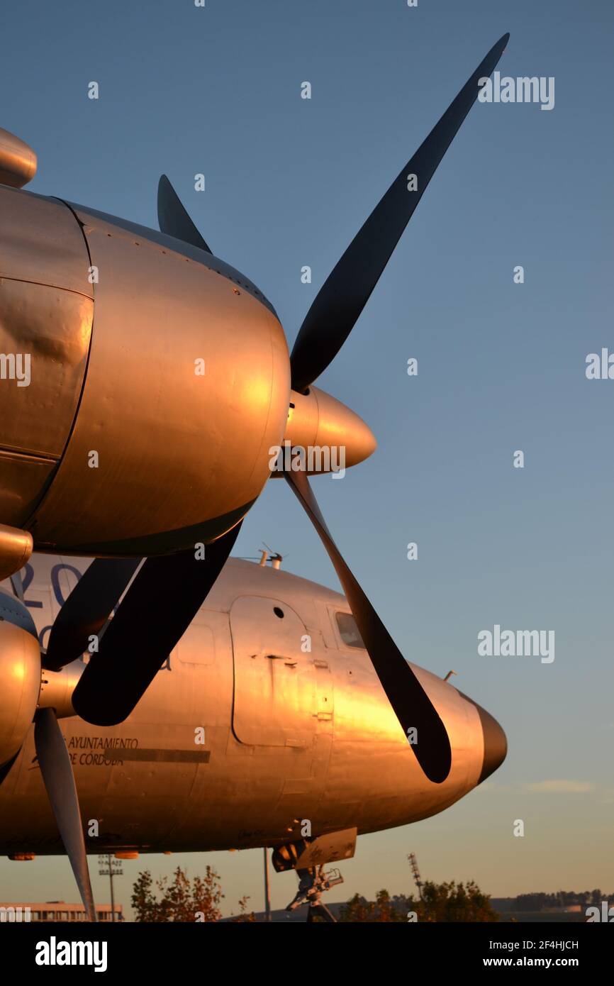 Douglas DC-7 Transport Aircraft on the Bank of the Guadalquivir River ...