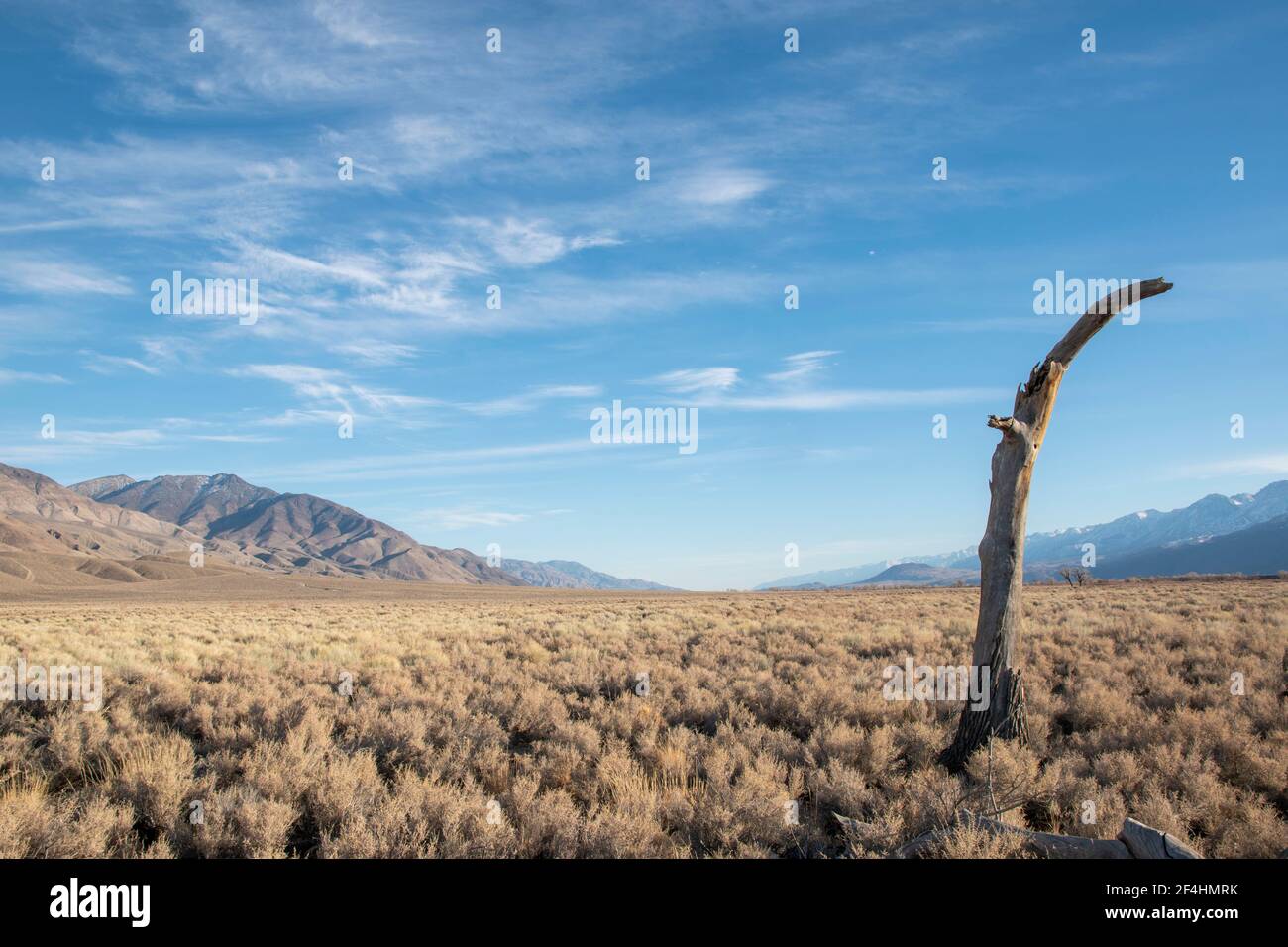 Owens Valley in Inyo County is a lonely, isolated place in the Eastern ...