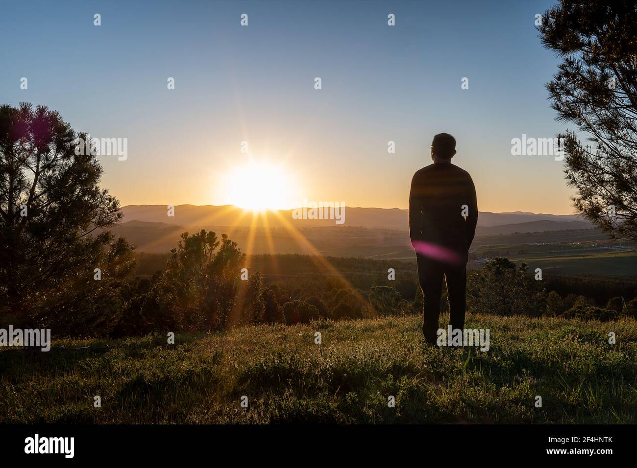 Man admiring woman beautiful hi-res stock photography and images - Alamy