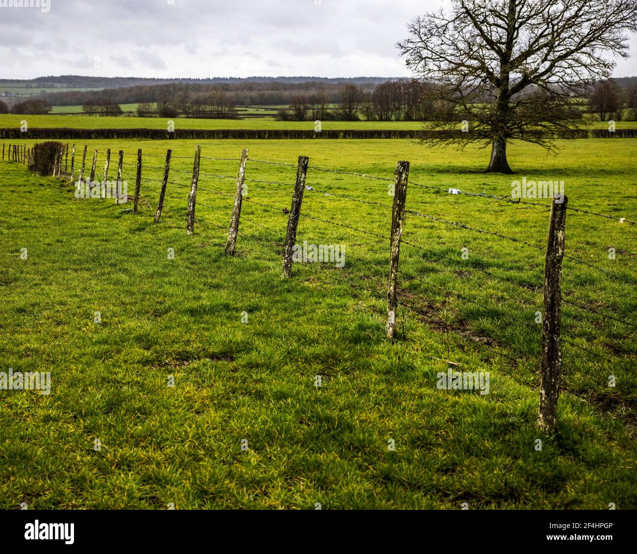 A closeup shot of a fence in the fields of Burgundy France Stock Photo ...