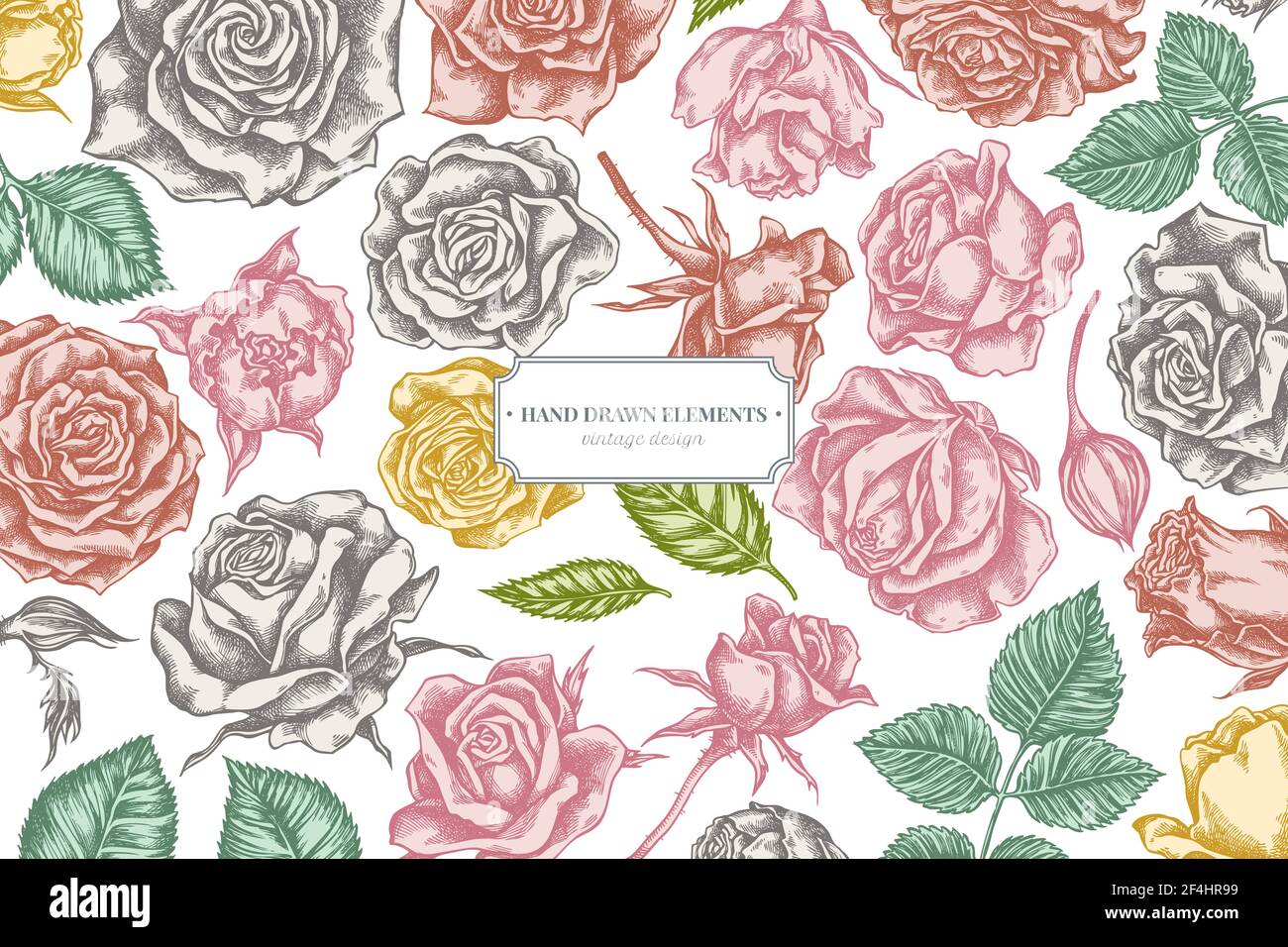 Floral design with pastel roses Stock Vector Image & Art - Alamy
