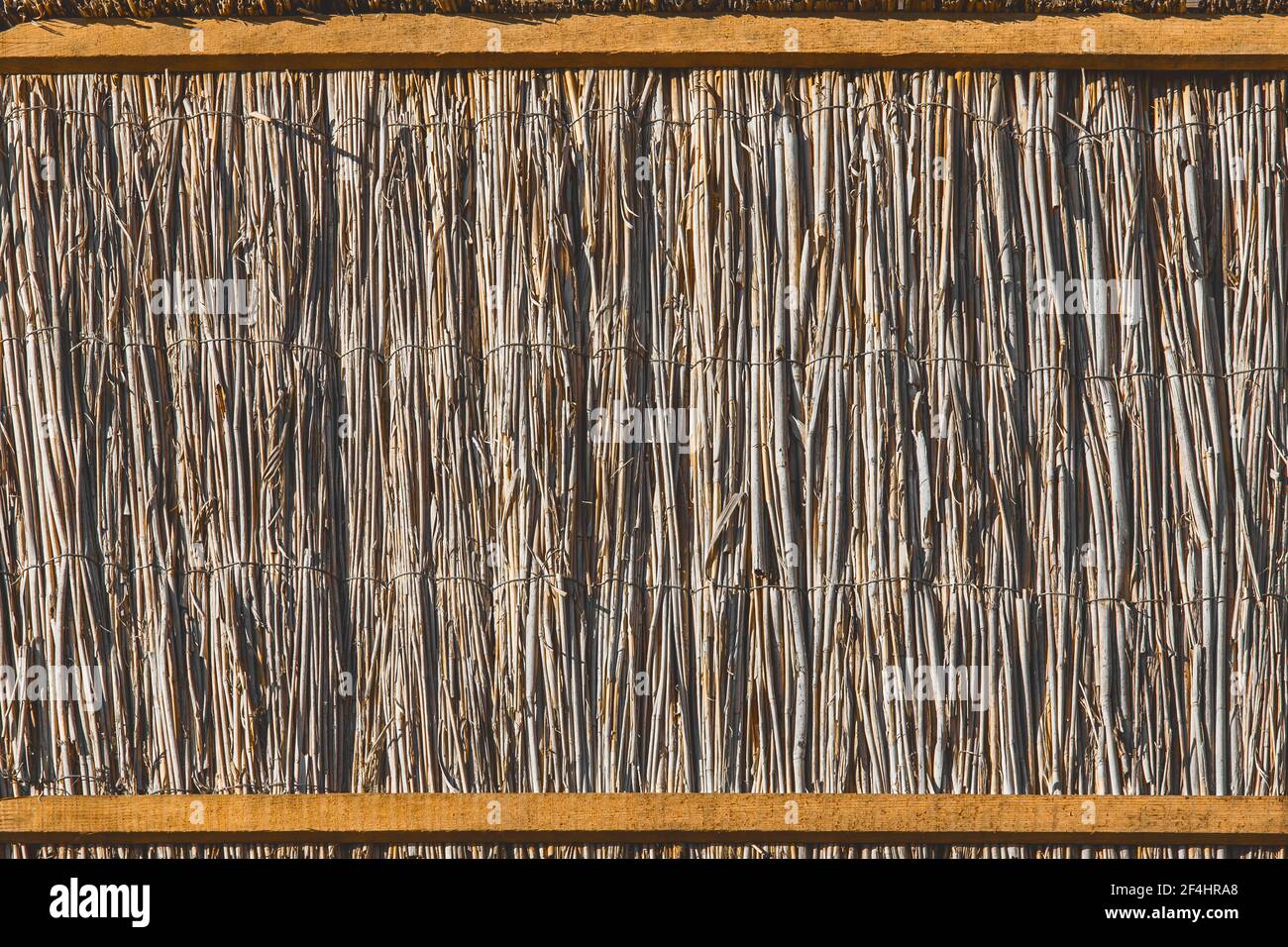 Reed texture hi-res stock photography and images - Alamy