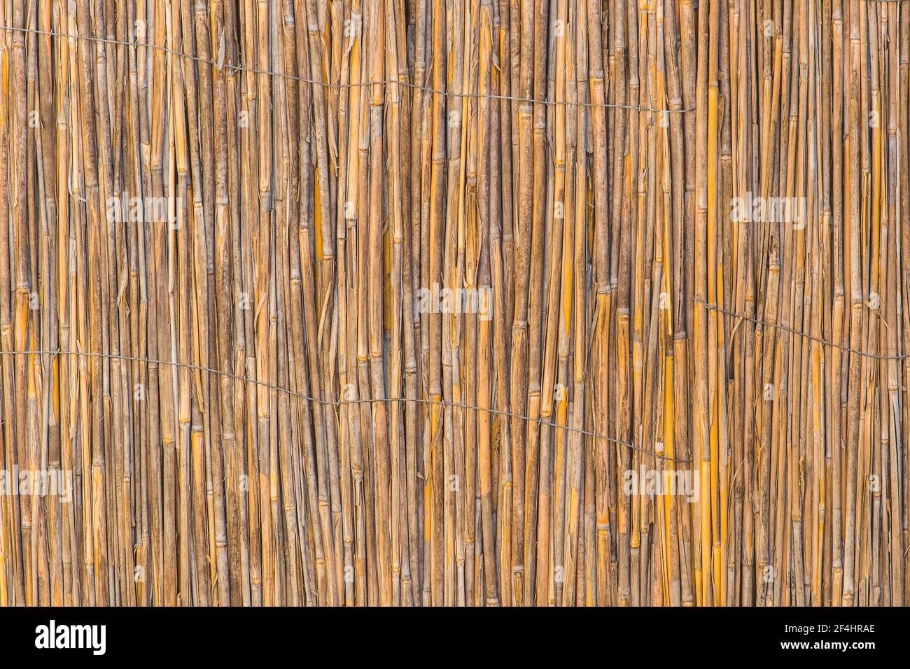 Light yellow reed interior handmade wall texture background Stock Photo ...