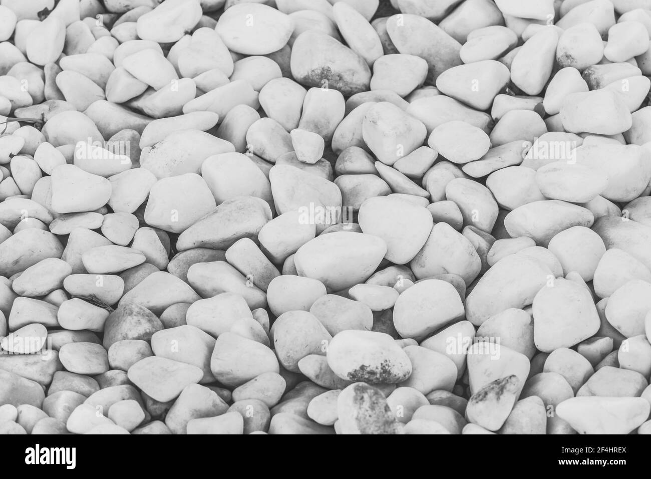 White sea stones texture light rock background Stock Photo - Alamy