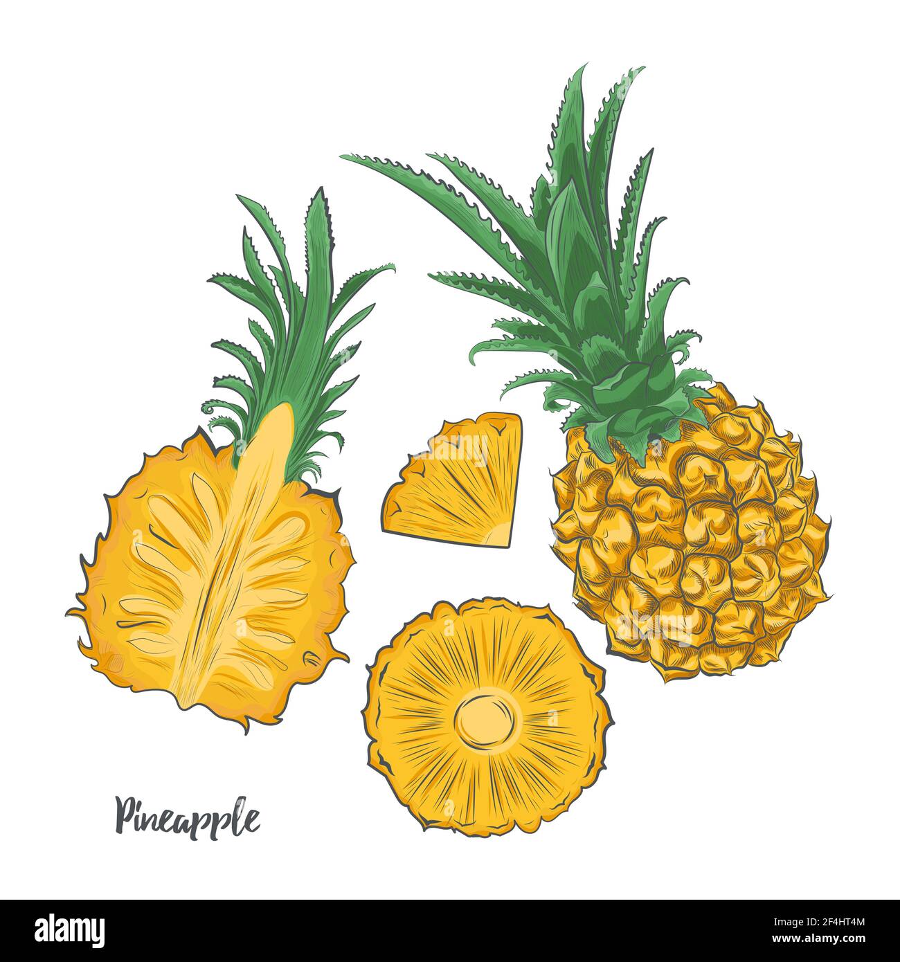 Ripe half pineapple on Stock Vector Images - Alamy