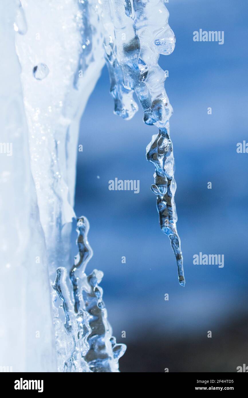 icicles sparkling white with water drops ice hanging down Stock Photo ...