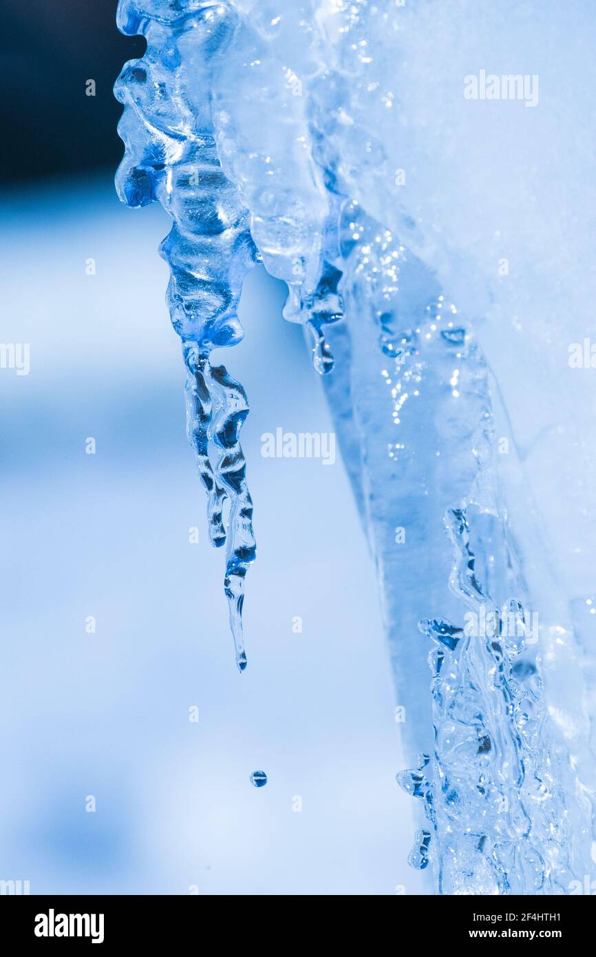 Icicles sparkling white water drops hi-res stock photography and images ...