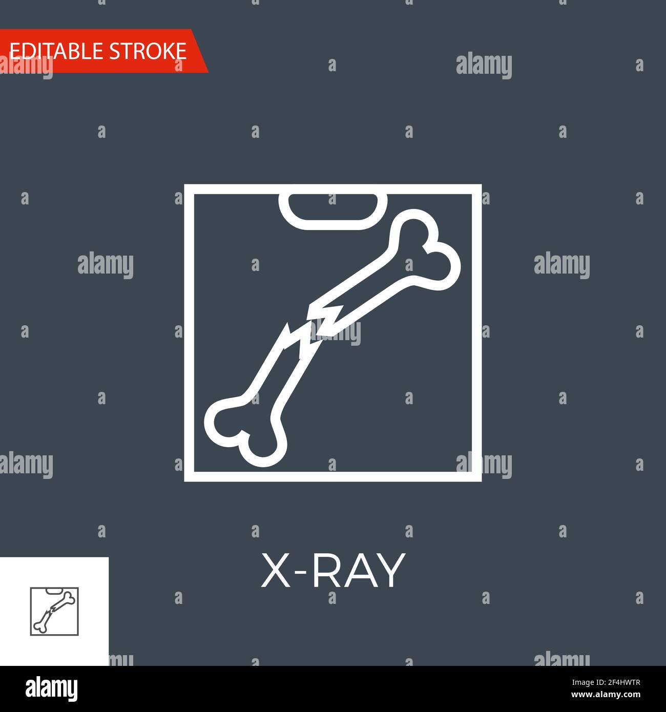 Human ray scan Stock Vector Images - Alamy