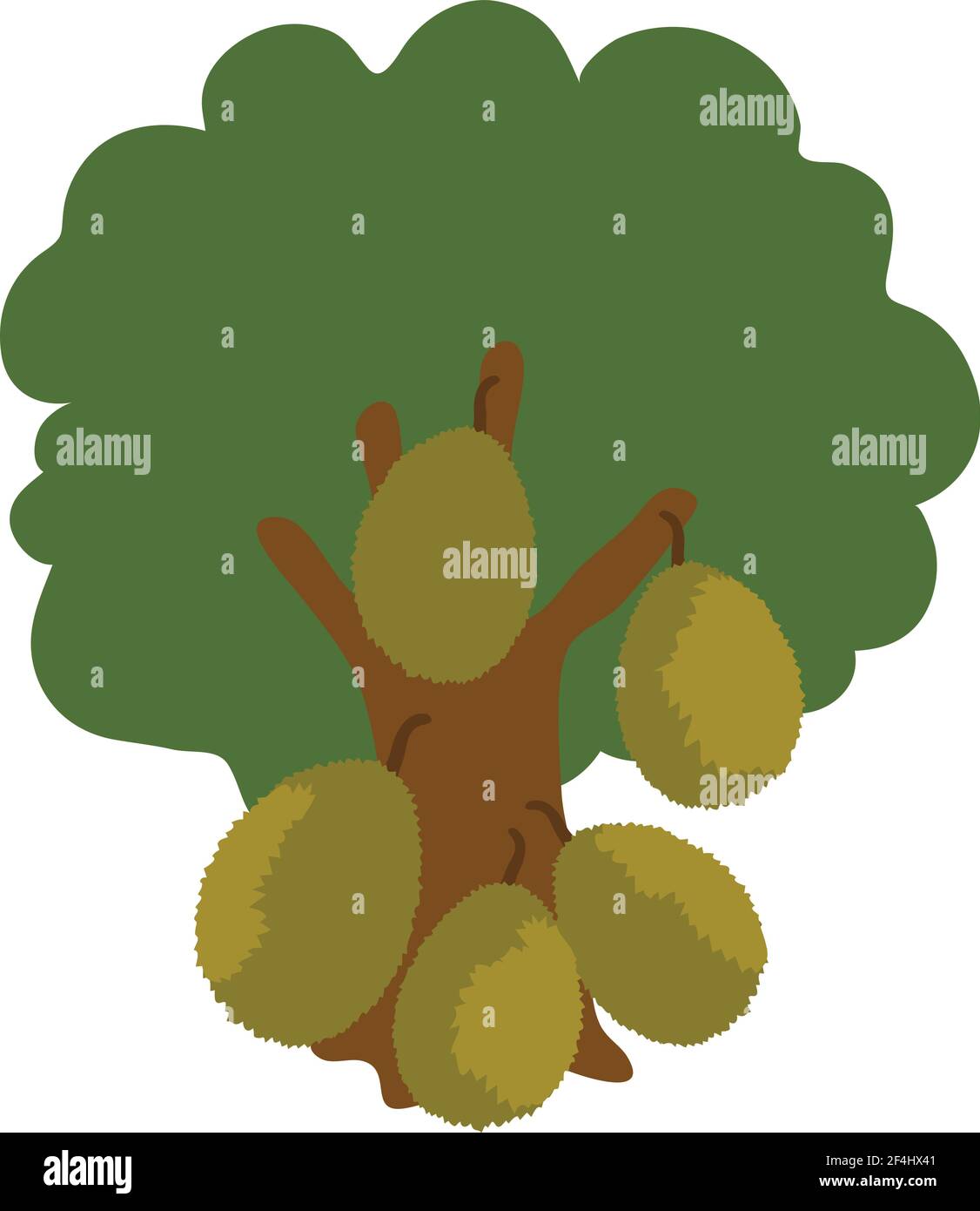 Jack fruit tree flower Stock Vector Images - Alamy