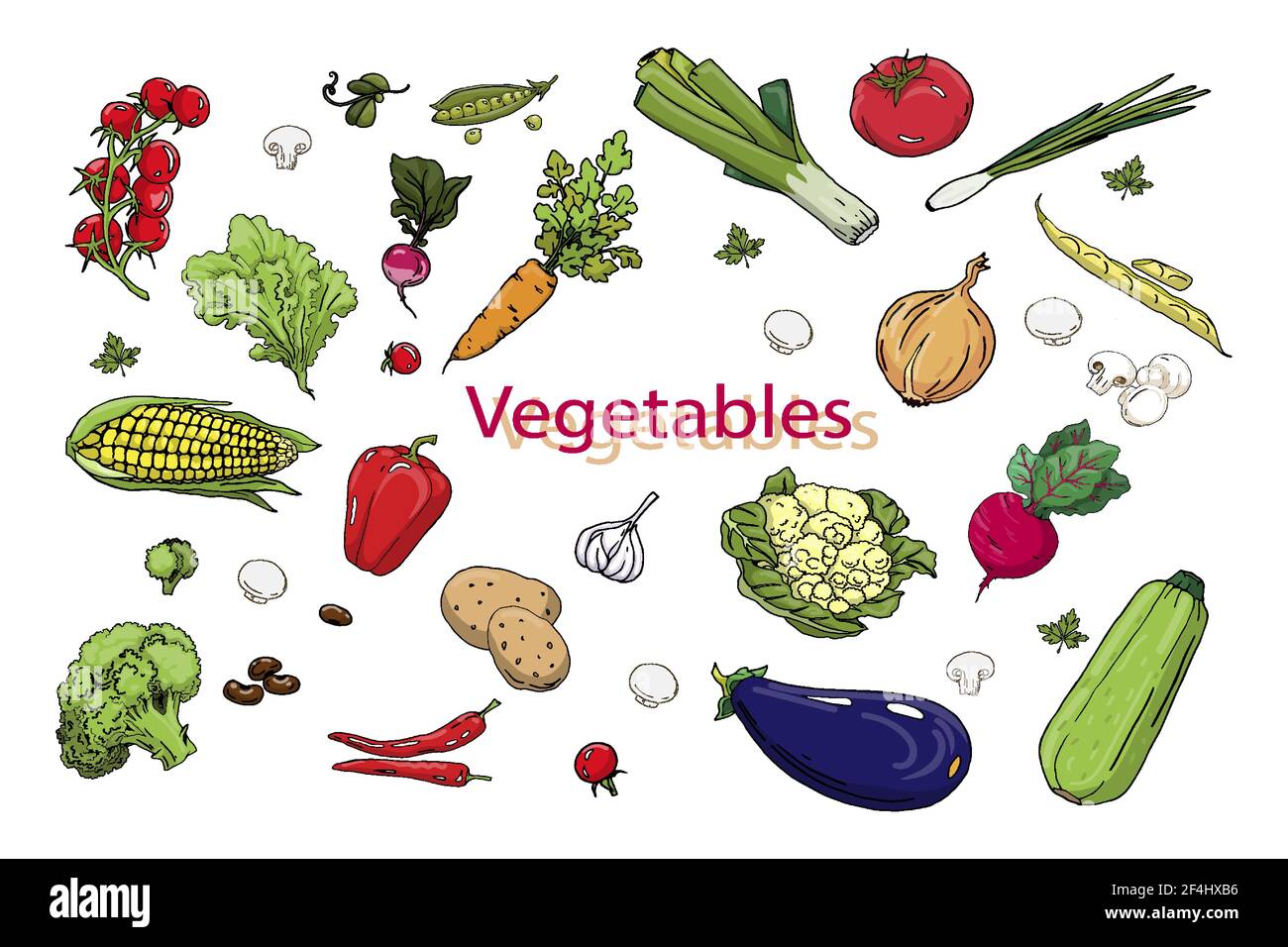 vegetables, set of colored icons, images isolated, hand-drawn, vector ...