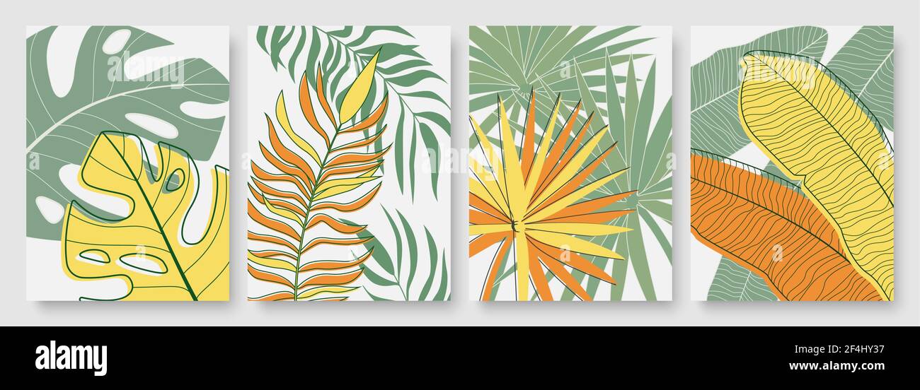 Abstract tropical palm tree leaves set, template background for social ... Abstract tropical palm tree leaves set, template background for social ...