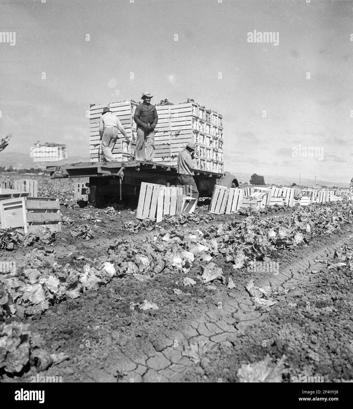 August lange Black and White Stock Photos & Images - Alamy