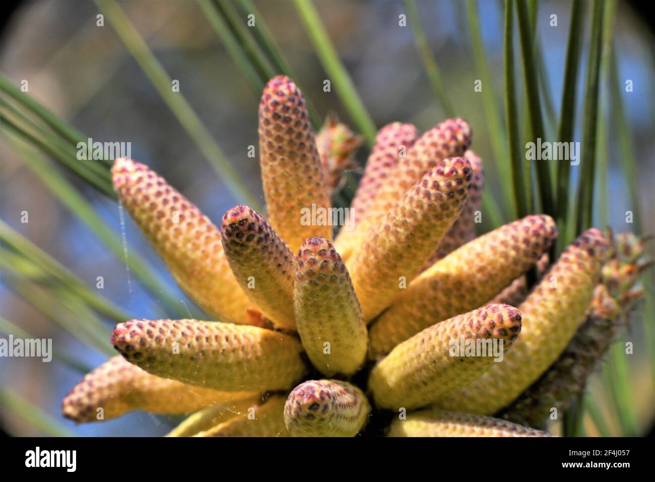 This year springtime hi-res stock photography and images - Alamy