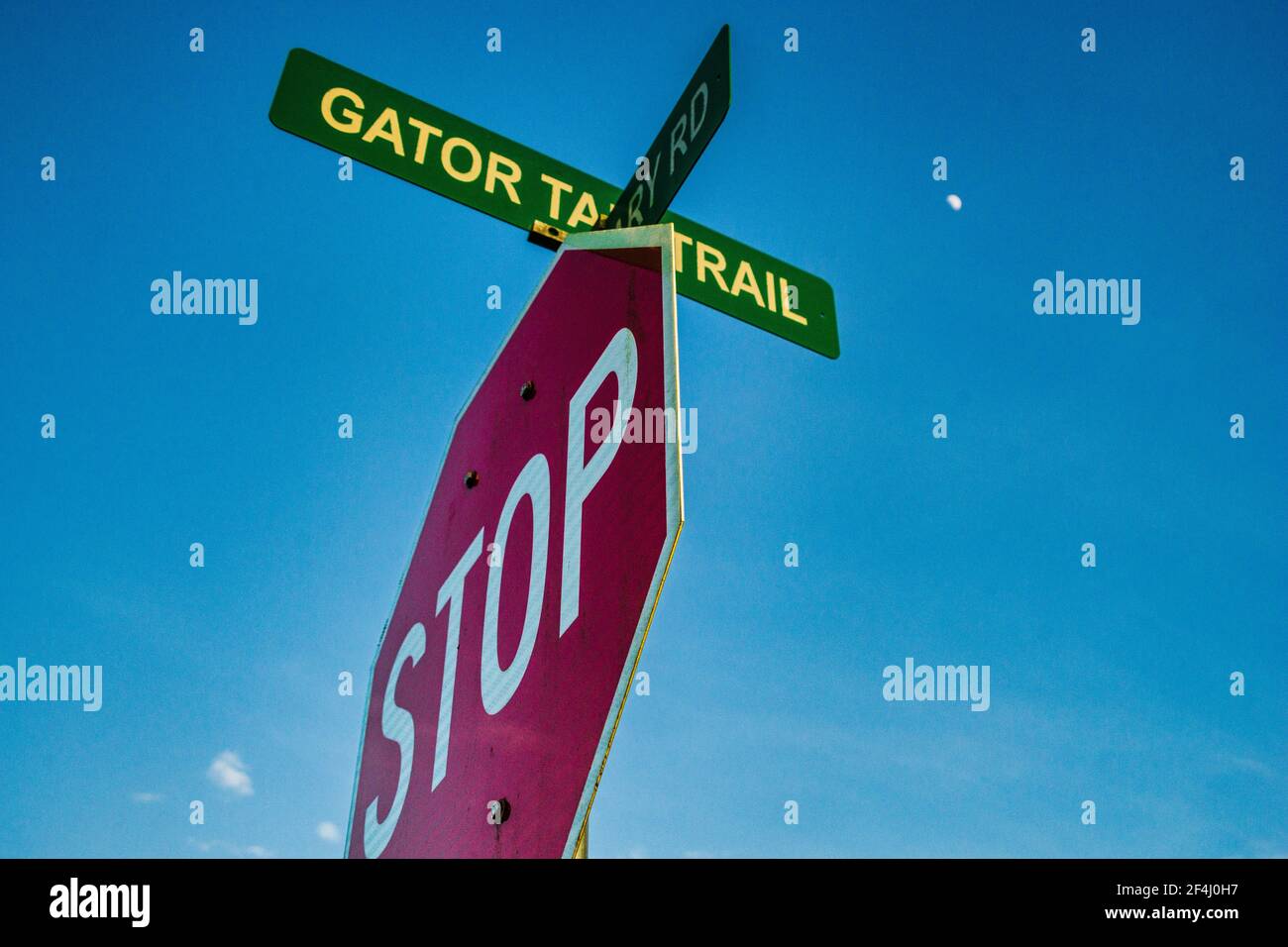 A Stop Sign marks an intersection at the Big Cypress Seminole ...
