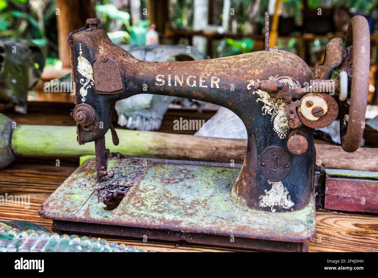 Big cypress seminole tribe indian reservation hi-res stock photography ...