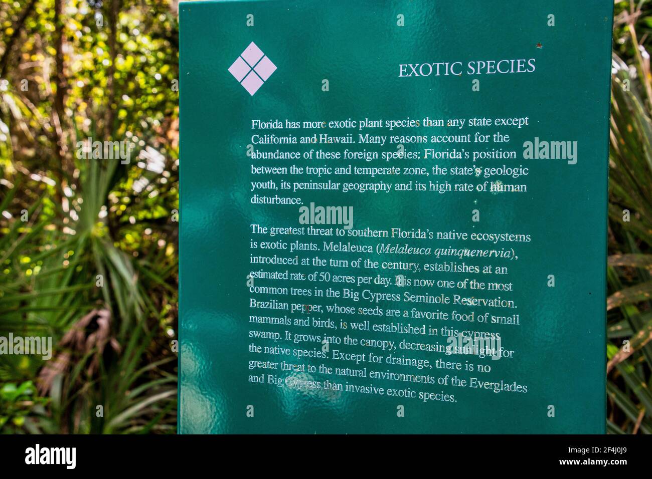 An information sign about exotic species on the Boardwalk at the Ah-Tah ...