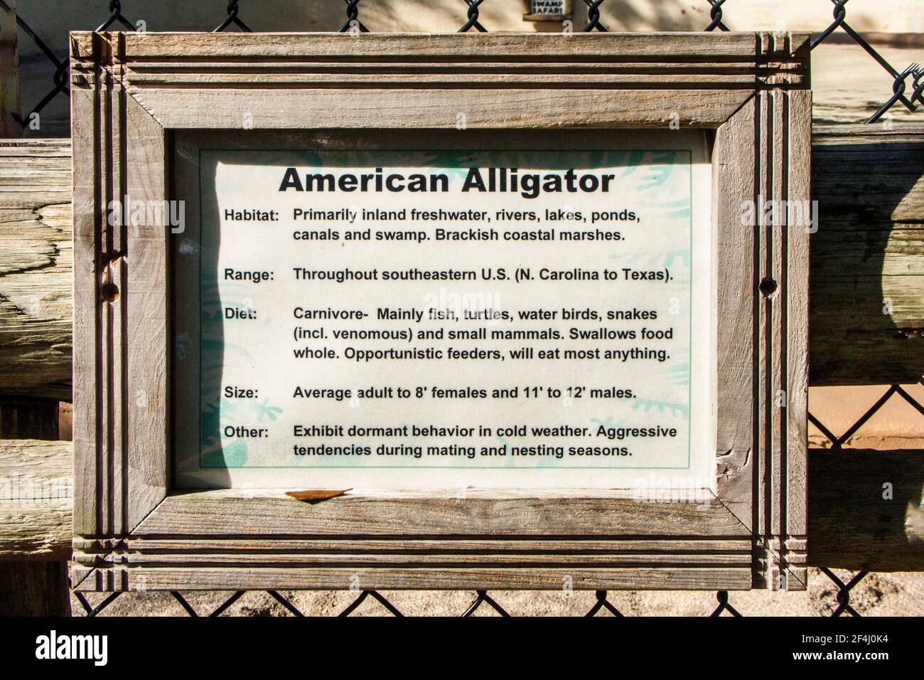Information sign on the American Alligator at the Seminole Tribe of ...