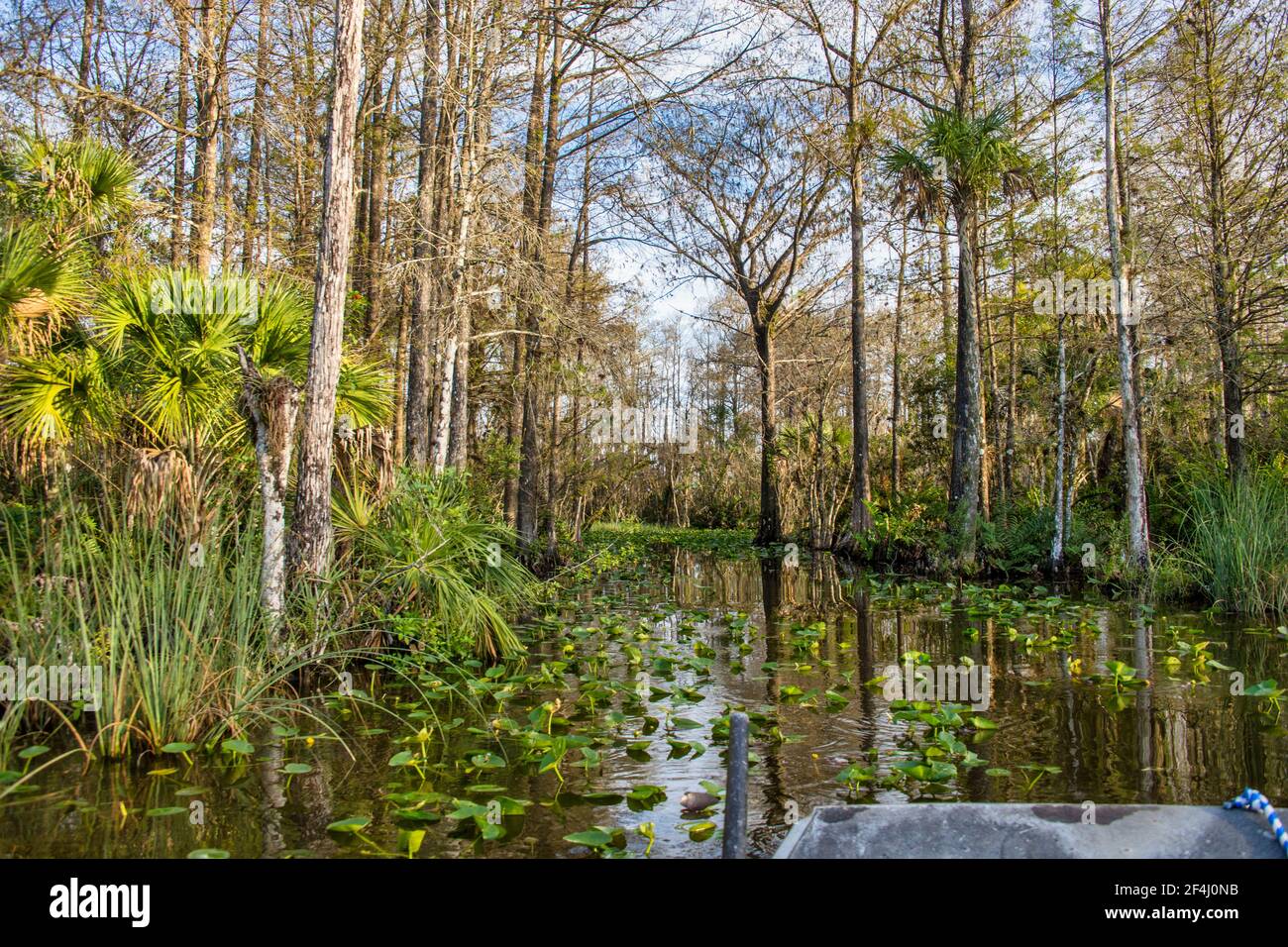 Seminole tribe hi-res stock photography and images - Alamy