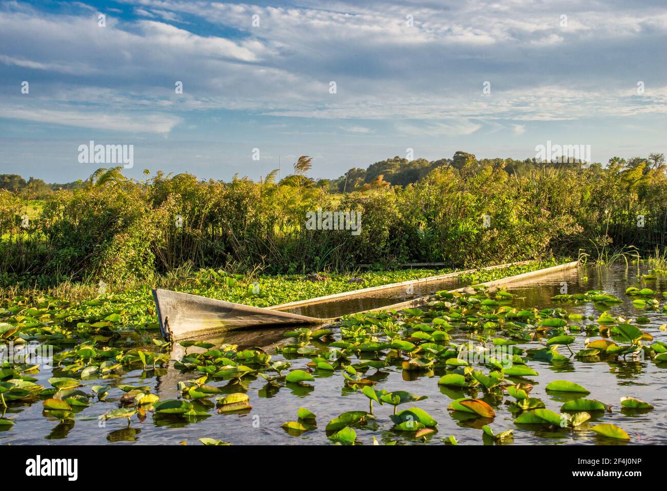 A partly sunken dugout canoe seen from an airboat near the Seminole ...