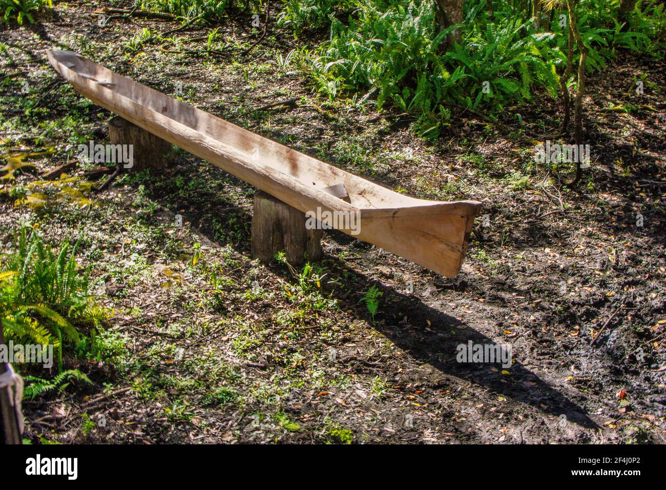 A swamp buggy ecotour passes a Seminole dugout canoe in the Everglades ...