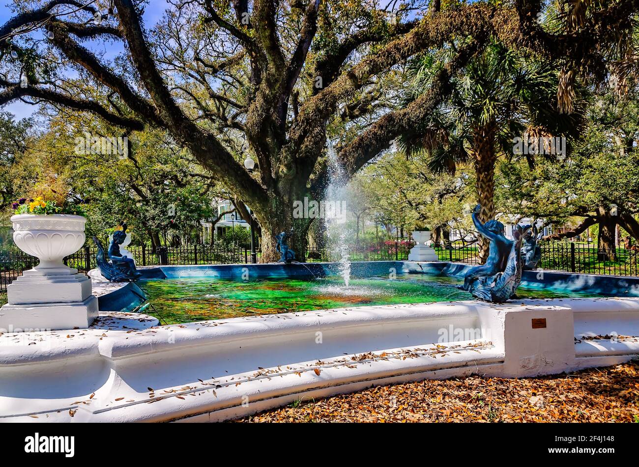 Washington Square features a fountain and numerous live oak trees ...