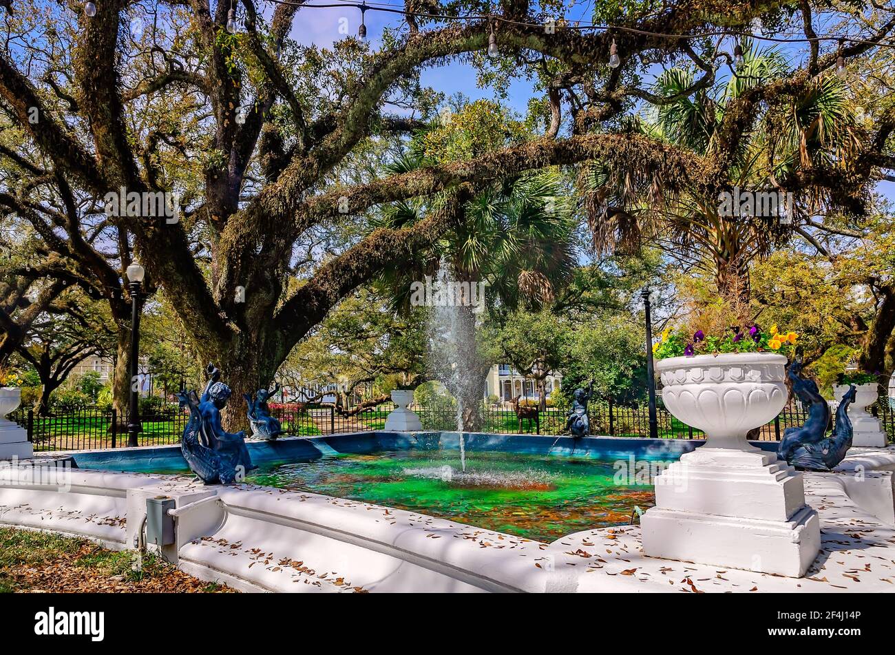 Water features garden hi-res stock photography and images - Alamy