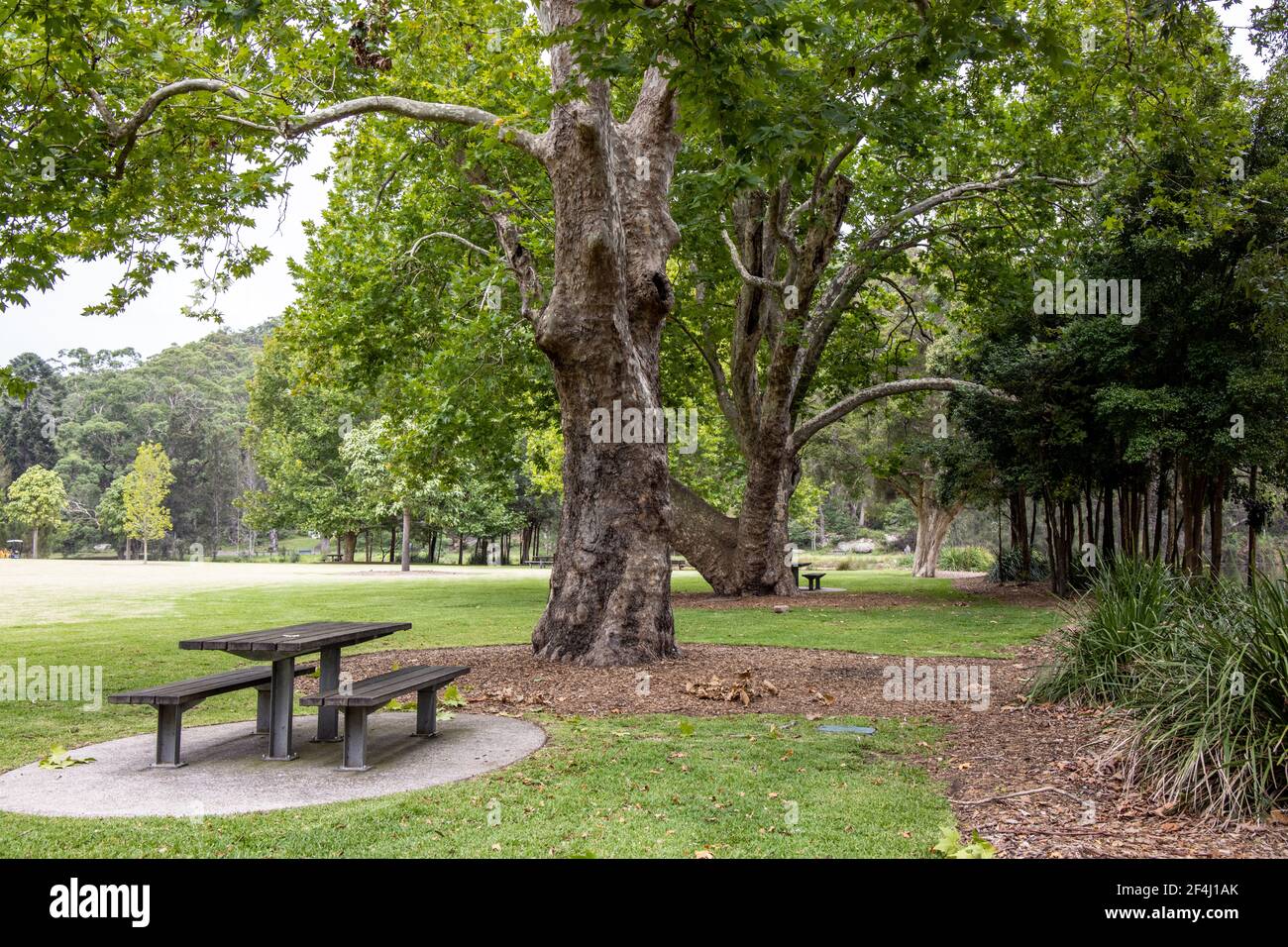 Picnic Area, Royal National Park Sydney N.S.W. Australia Stock Photo ...