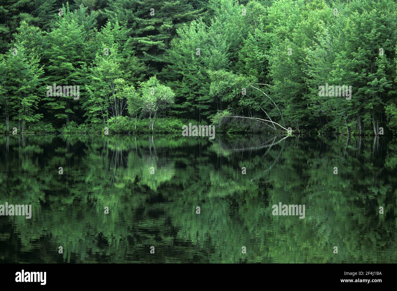 Waukewan park hi-res stock photography and images - Alamy