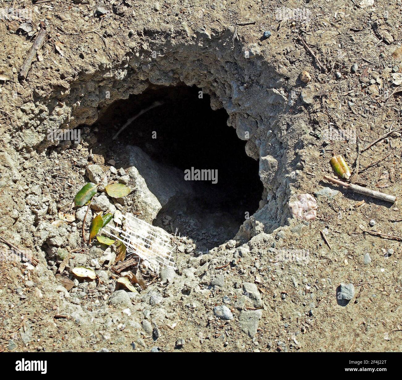 Pothole creek hi-res stock photography and images - Alamy