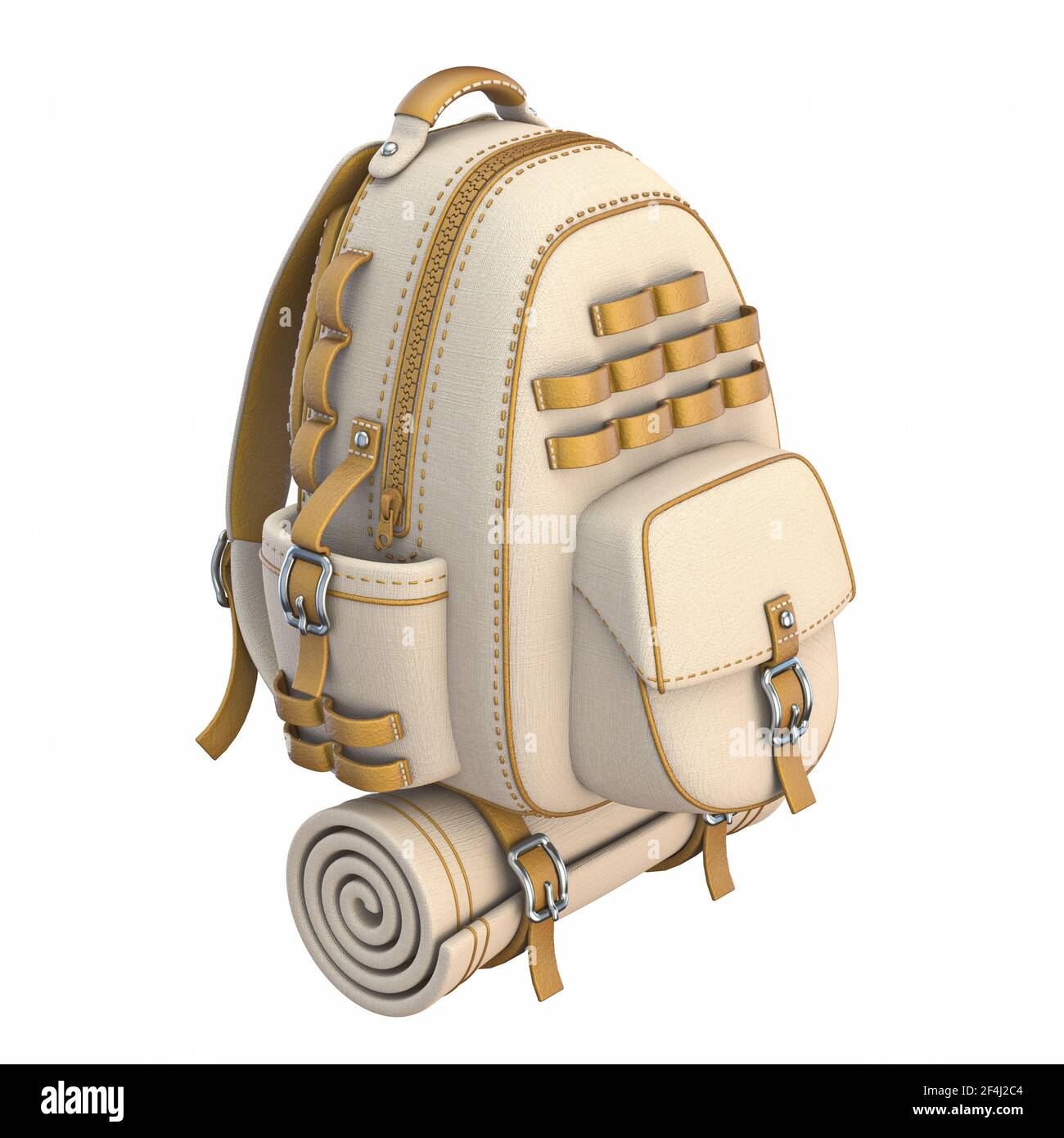 Canvas and leather backpack Front side view 3D render illustration ...