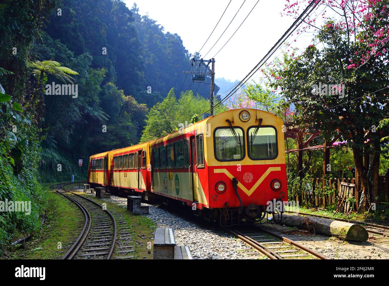 Forest train on railway in Alishan National Forest Recreation Area ...