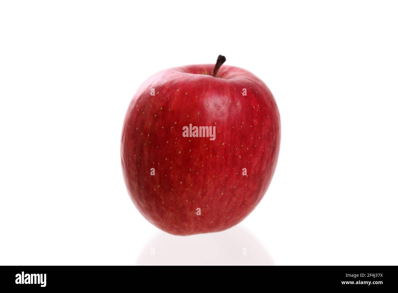 Japanese red apple isolated in white background Stock Photo - Alamy