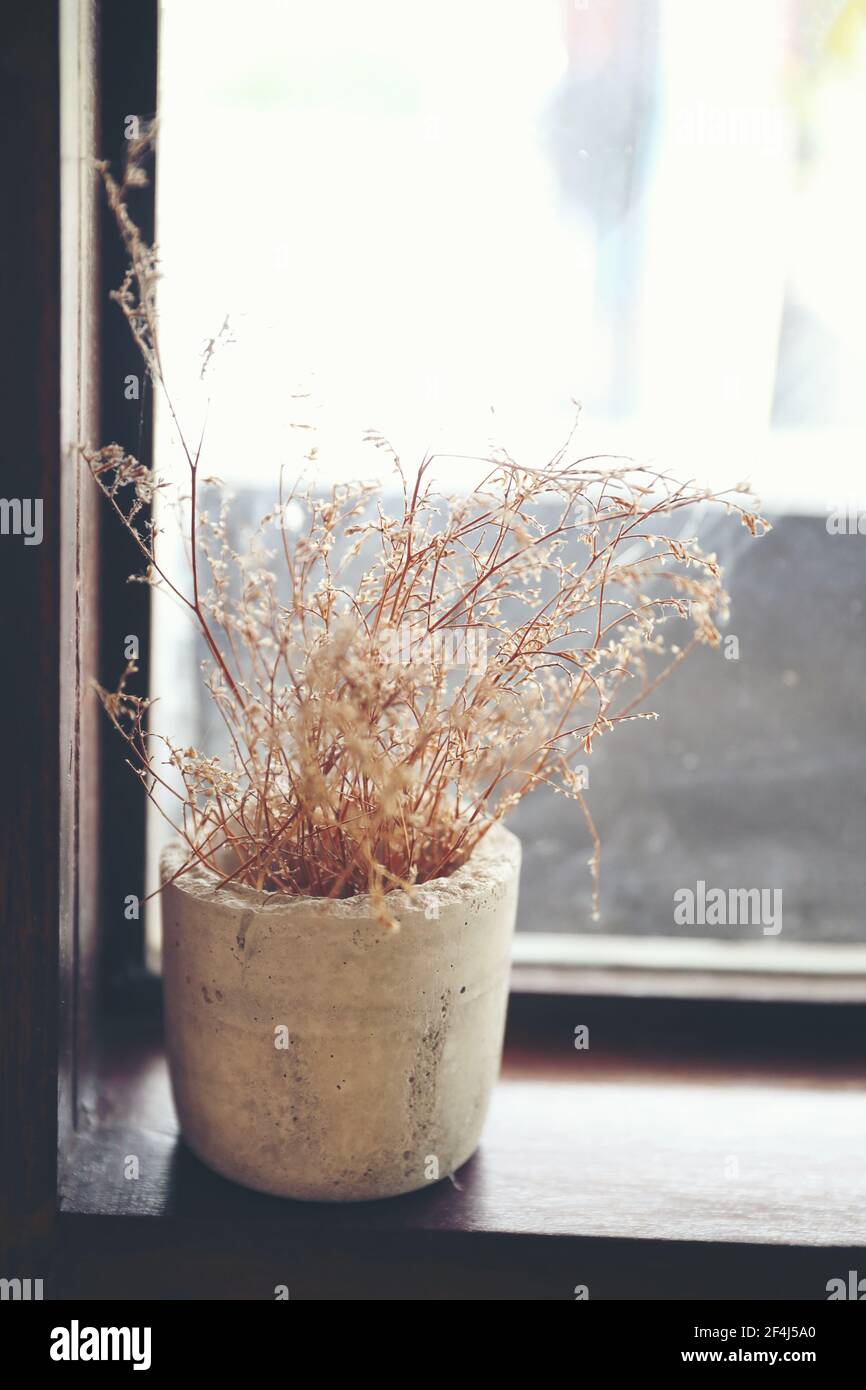 Vase and dry plants hi-res stock photography and images - Alamy