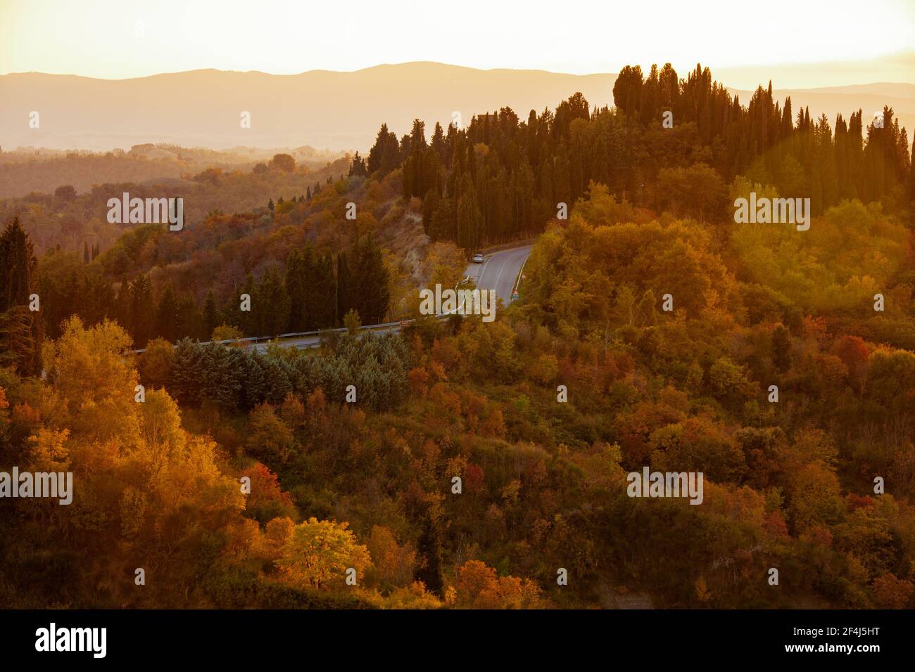 Famous ecologist hi-res stock photography and images - Alamy