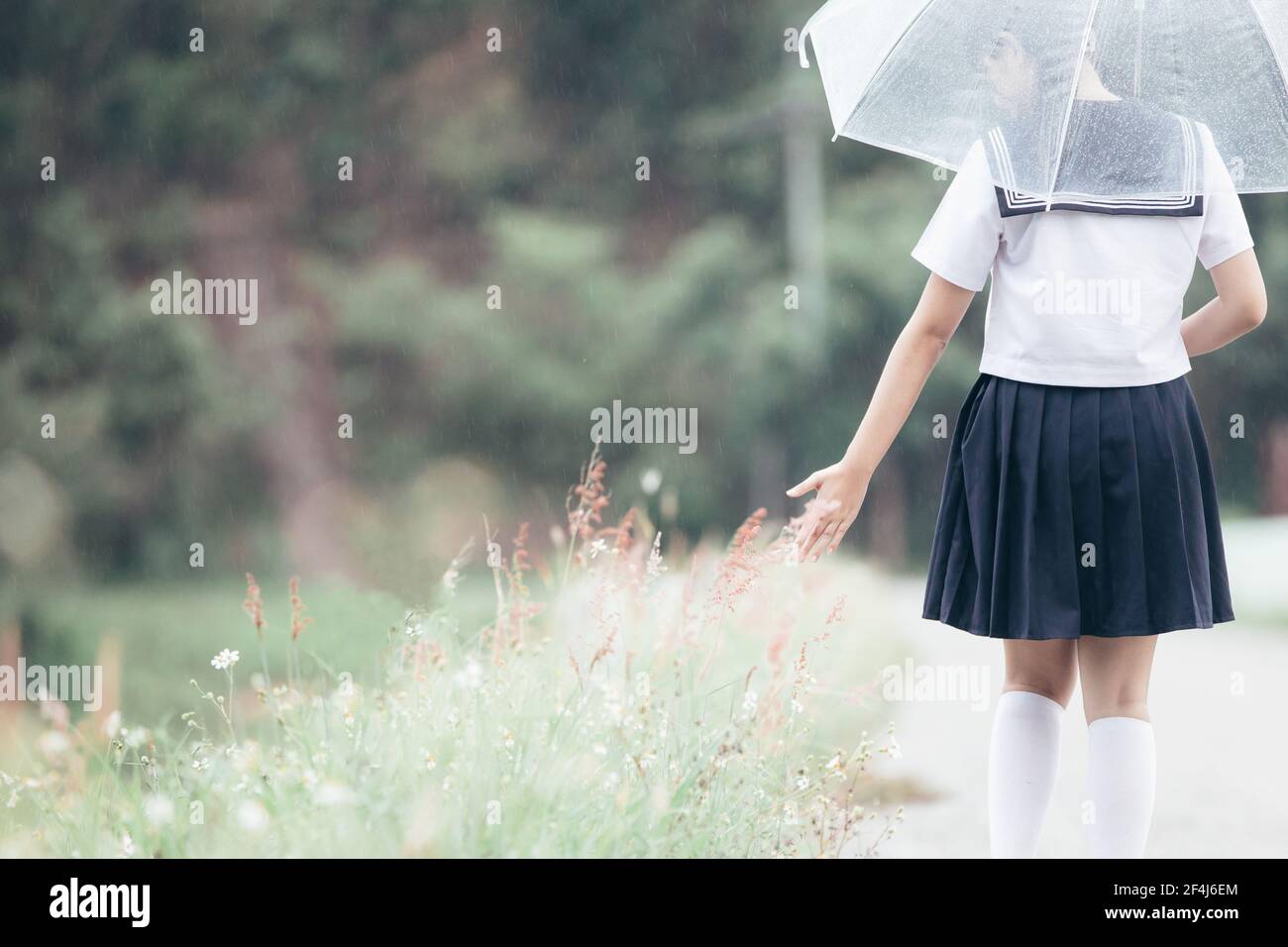 Portrait of Asian school girl walking with umbrella at nature walkway ...