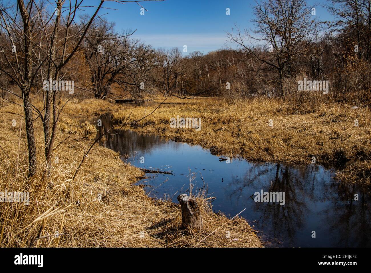 Lake Maria State Park in Monticello, MN Stock Photo - Alamy