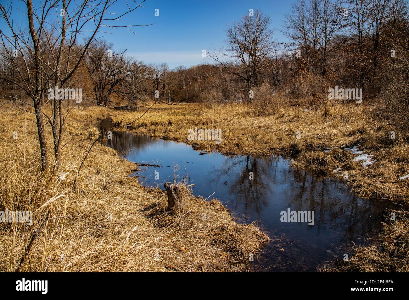 Lake Maria State Park in Monticello, MN Stock Photo - Alamy