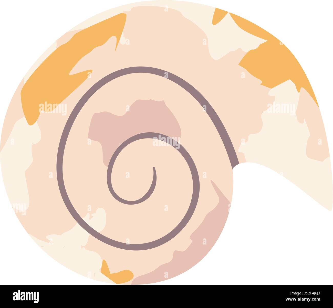 moon snail on white background Stock Vector Image & Art - Alamy