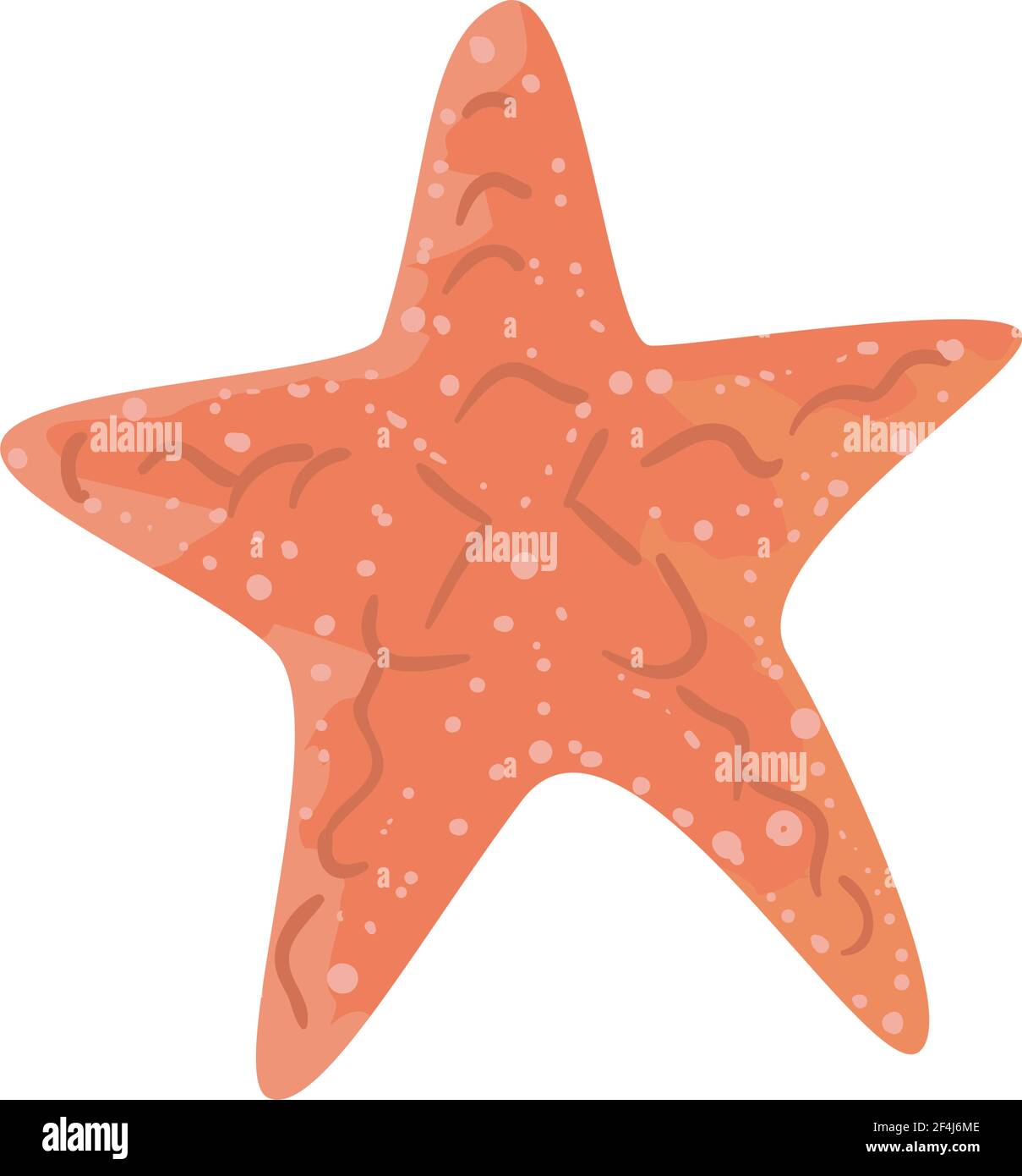 Seastar isolated on white Stock Vector Images - Alamy
