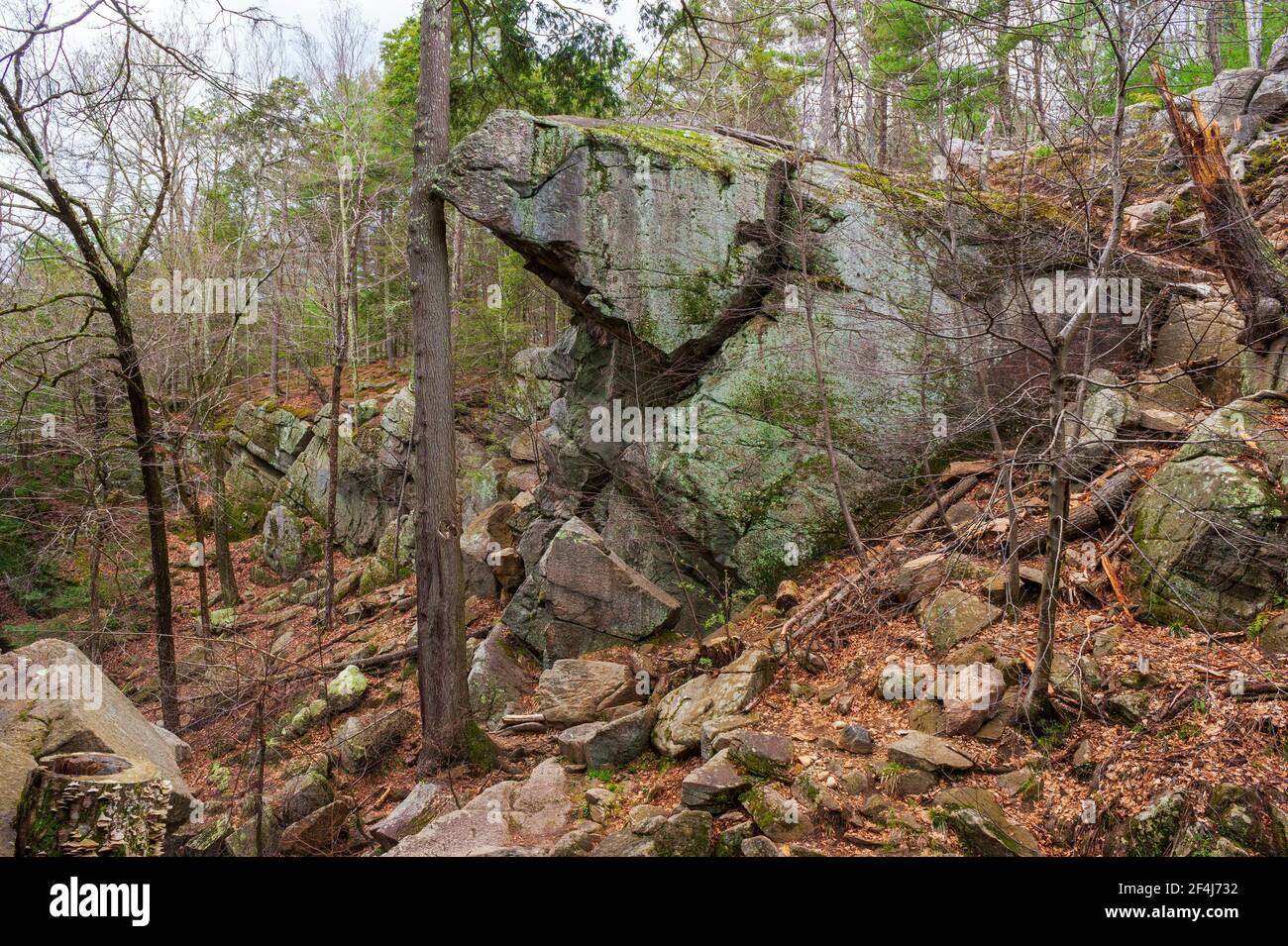 The Devil’s Pulpit. Purgatory Chasm State Reservation, Sutton, MA, USA ...