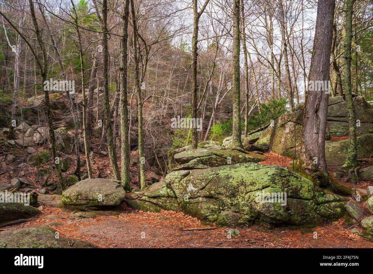 Purgatory Chasm State Reservation, Sutton, MA, USA. Trail above the ...
