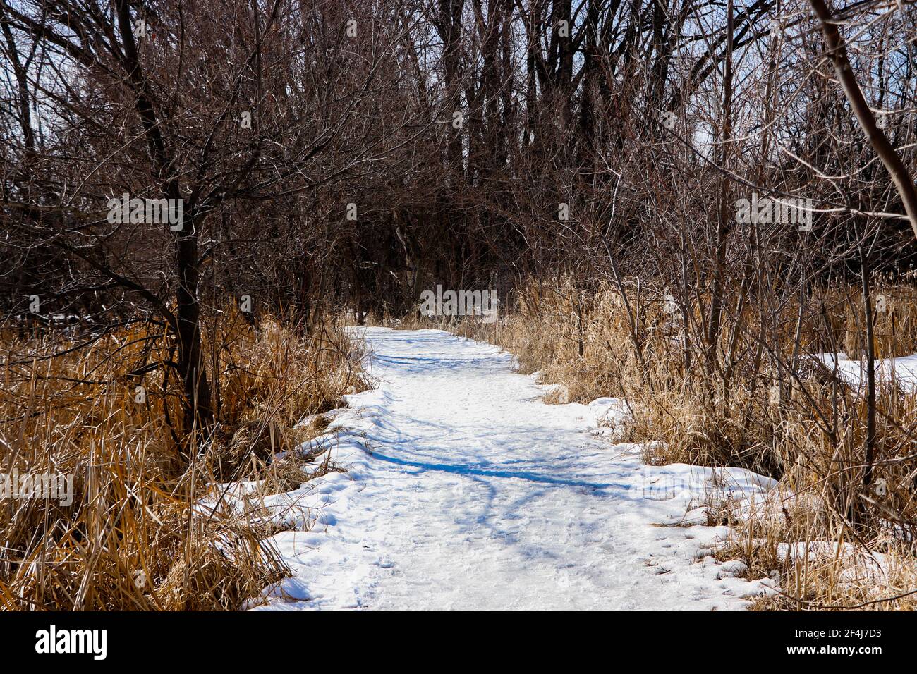 Wood Lake Nature Center in Richfield, MN Stock Photo - Alamy